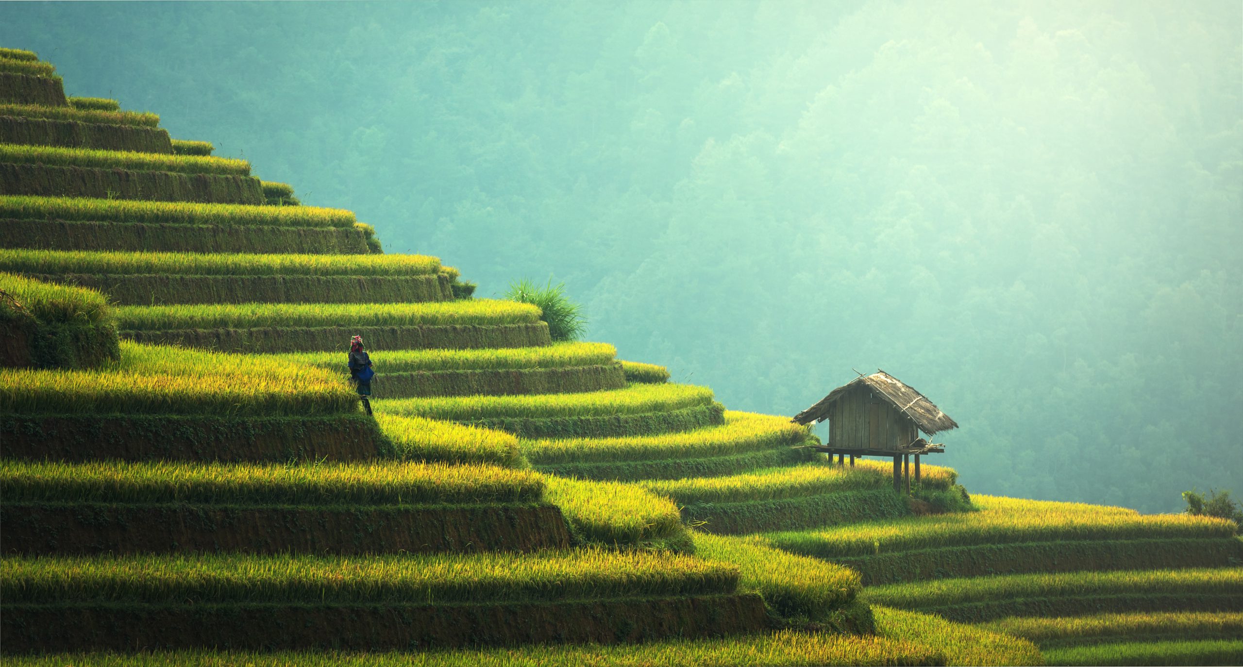 7 Surprisingly Easy Ways You Can Travel Sustainably TripGuru
